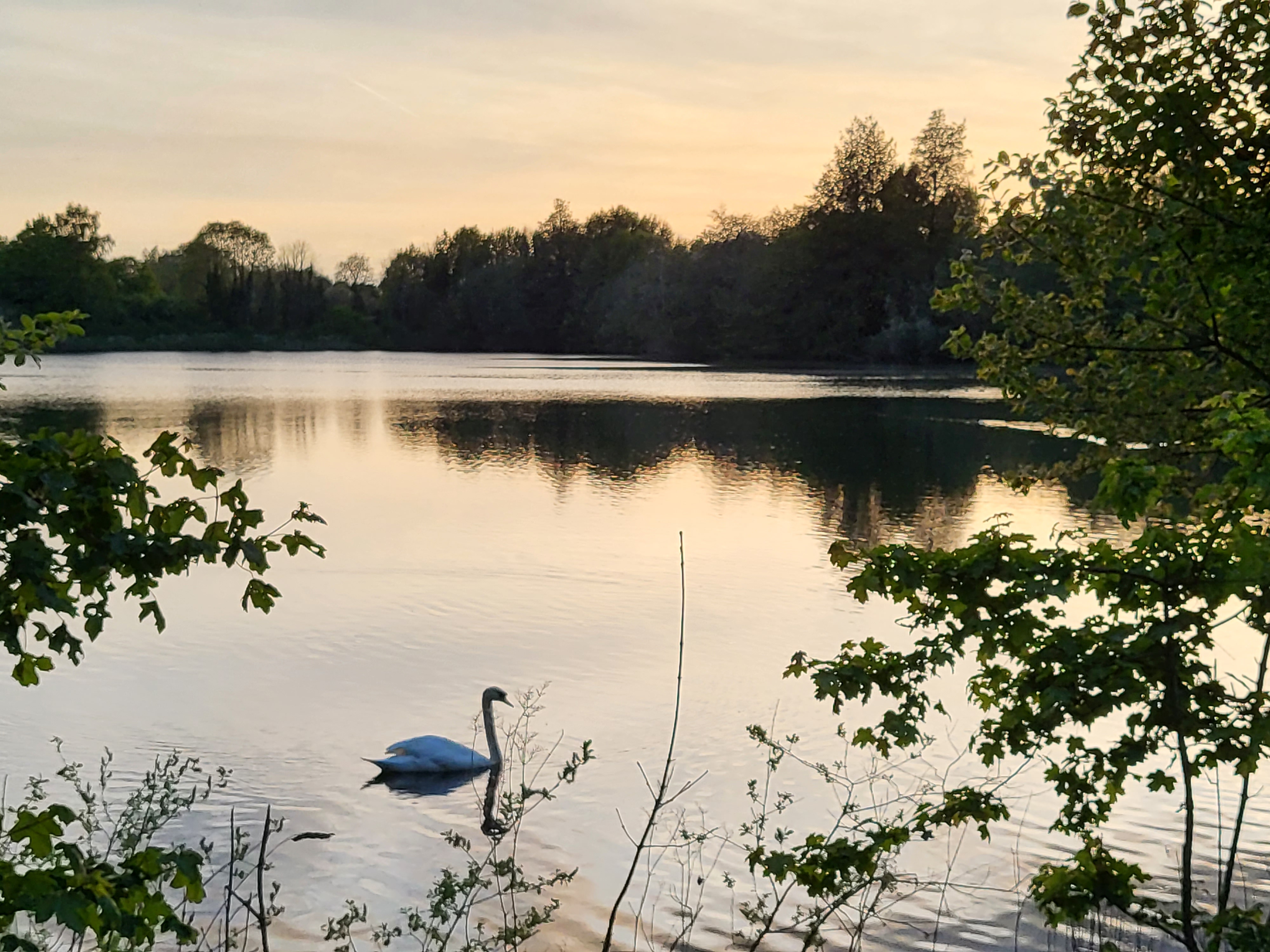 Juniper House – Lower Mill Estate